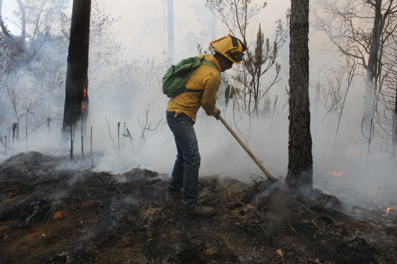Temporada de incendios forestales 2019 concluye con 160 siniestros – Zona Centro Noticias