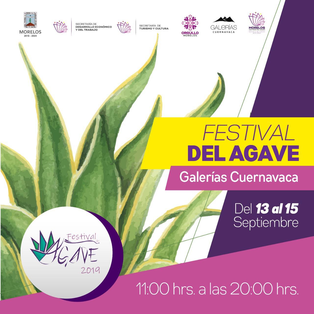 Anuncian el Festival del Agave 2019 en Plaza Galerías de Cuernavaca ...