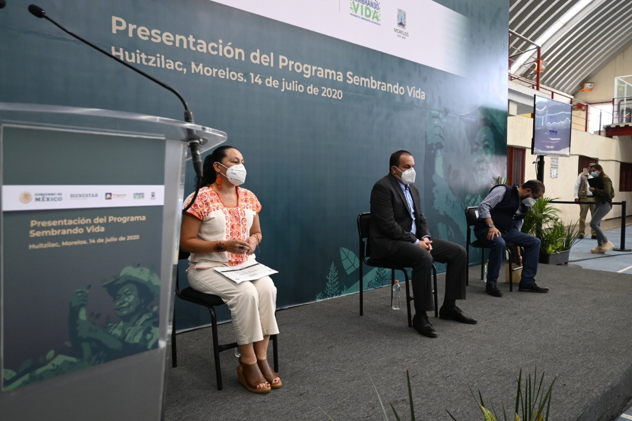 Llega el programa federal sembrando vida a 23 municipios de Morelos ...