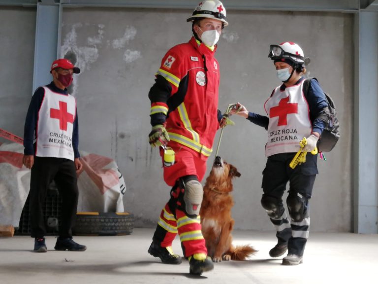 Decenas de elementos de rescate y paramédicos de la Cruz Roja Mexicana ...